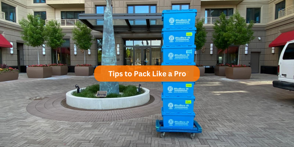 Tips to Pack Like a Pro - Professional Packing Techniques
